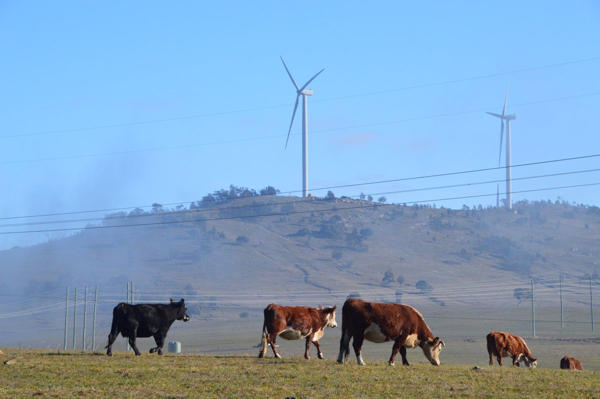 Maroona Wind Farm, Victoria, Australia