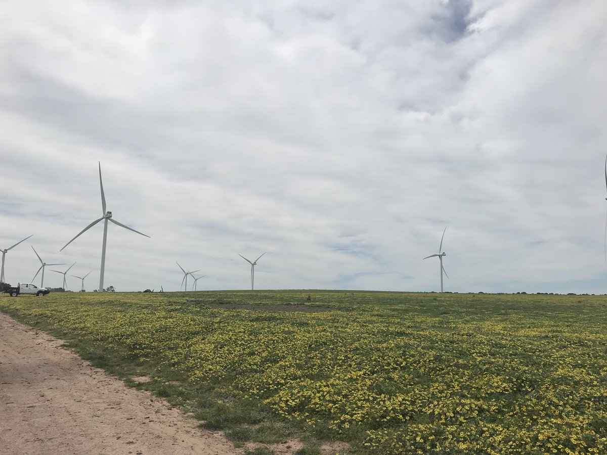 List of wind farms that are operational in Victoria, Australia
